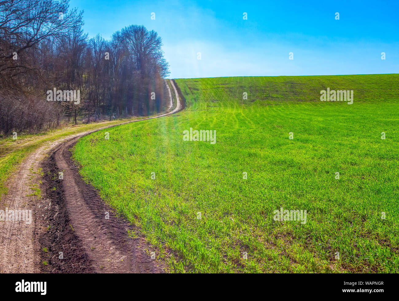 country road and agricultural green field Stock Photo - Alamy