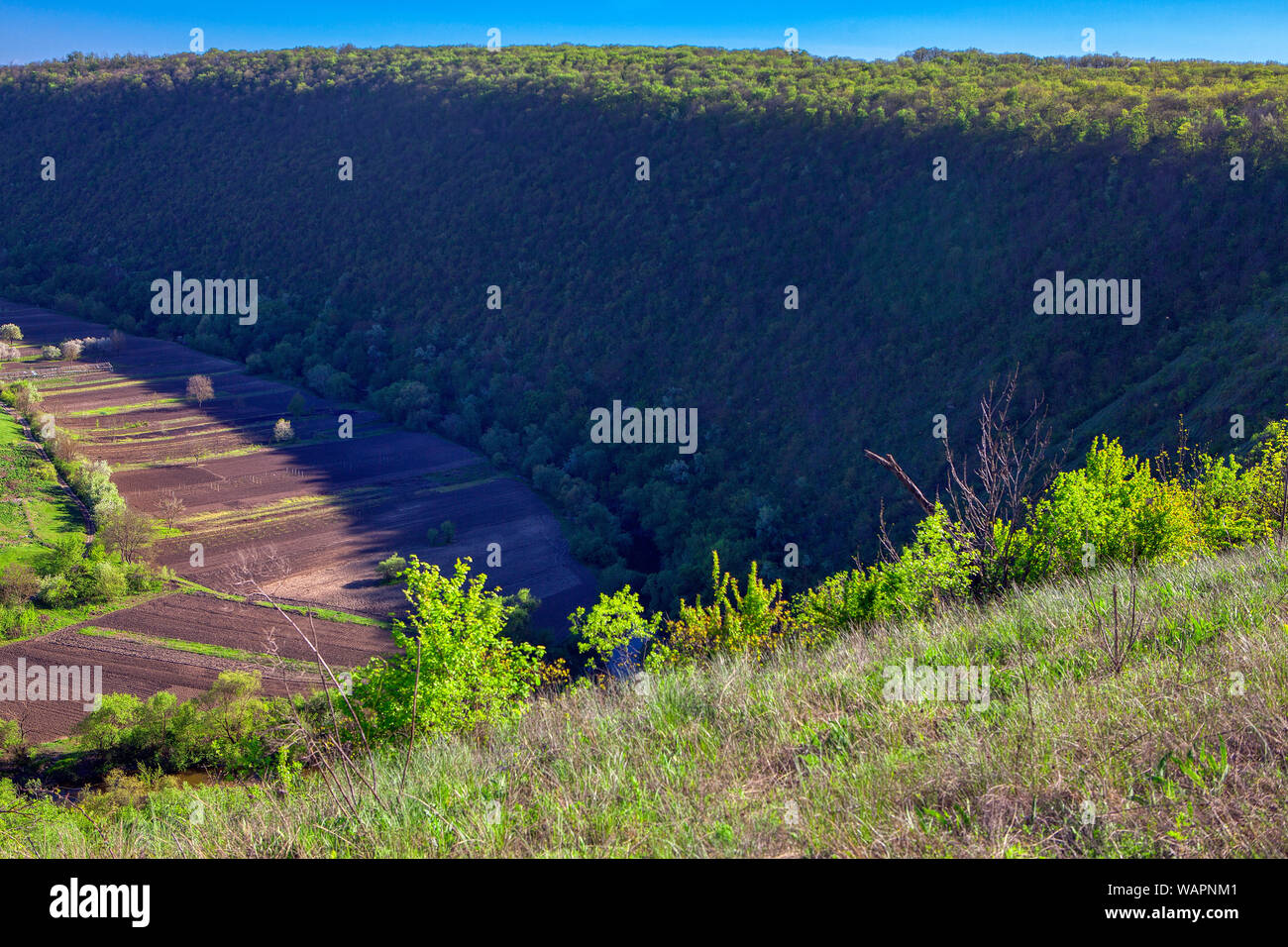 spring idyllic nature with green hill Stock Photo - Alamy