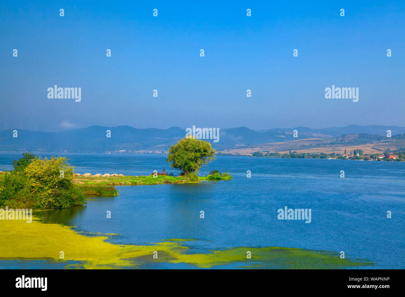 beautiful Danube river nature and green tree Stock Photo - Alamy