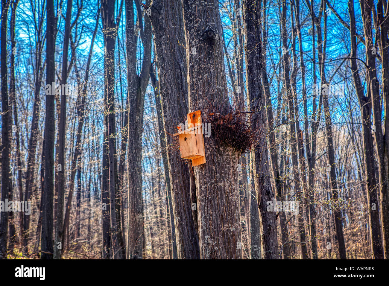 Tall nest box hi-res stock photography and images - Alamy