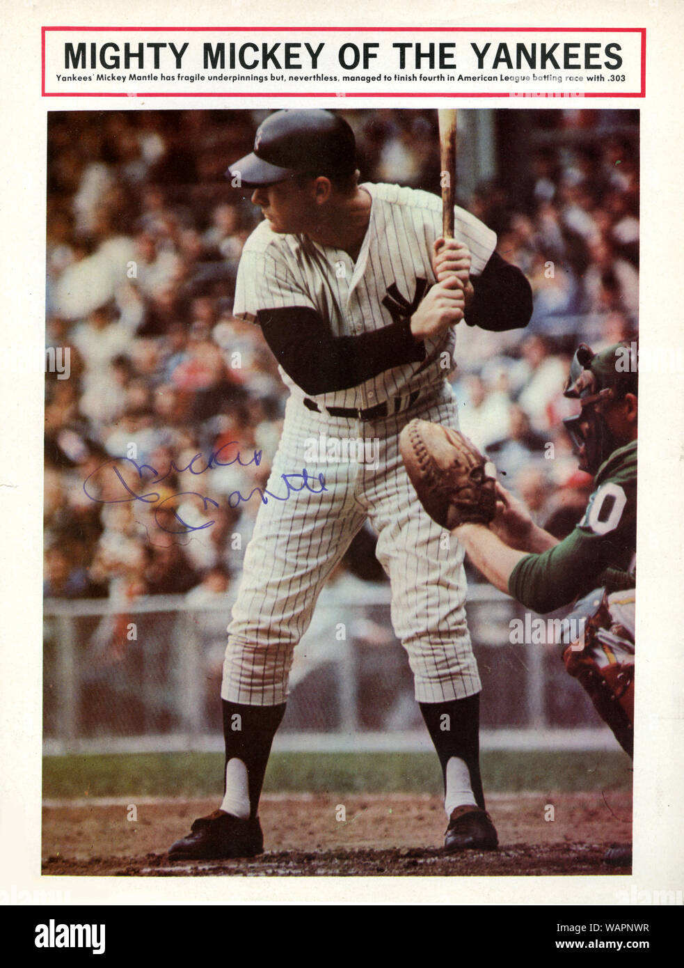 Autographed picture of star New York Yankees player Mickey Mantle circa ... Autographed picture of star New York Yankees player Mickey Mantle circa ...
