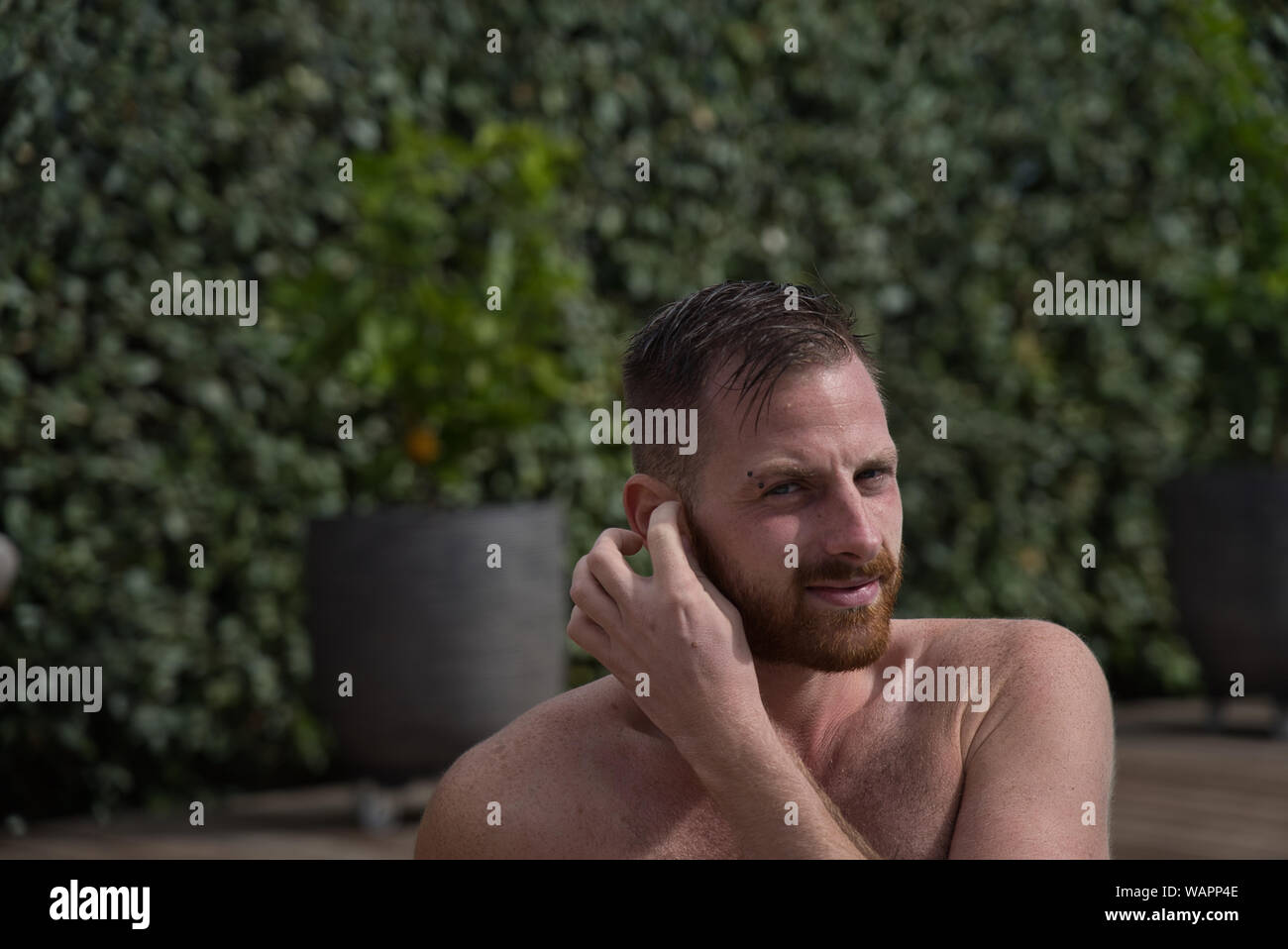 a red beard young male model portrait Stock Photo - Alamy