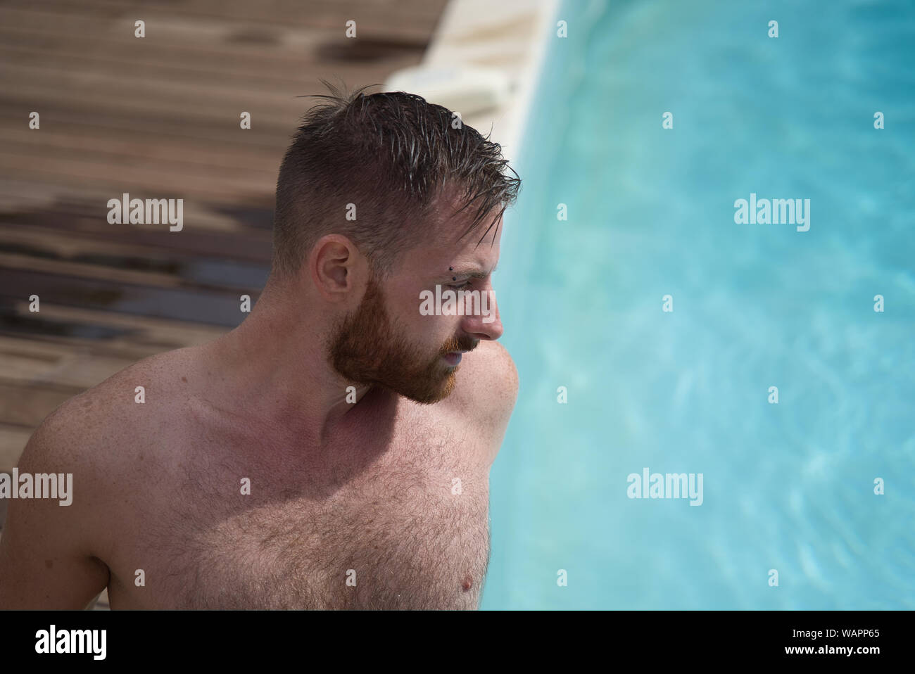 a red beard young male model portrait Stock Photo - Alamy