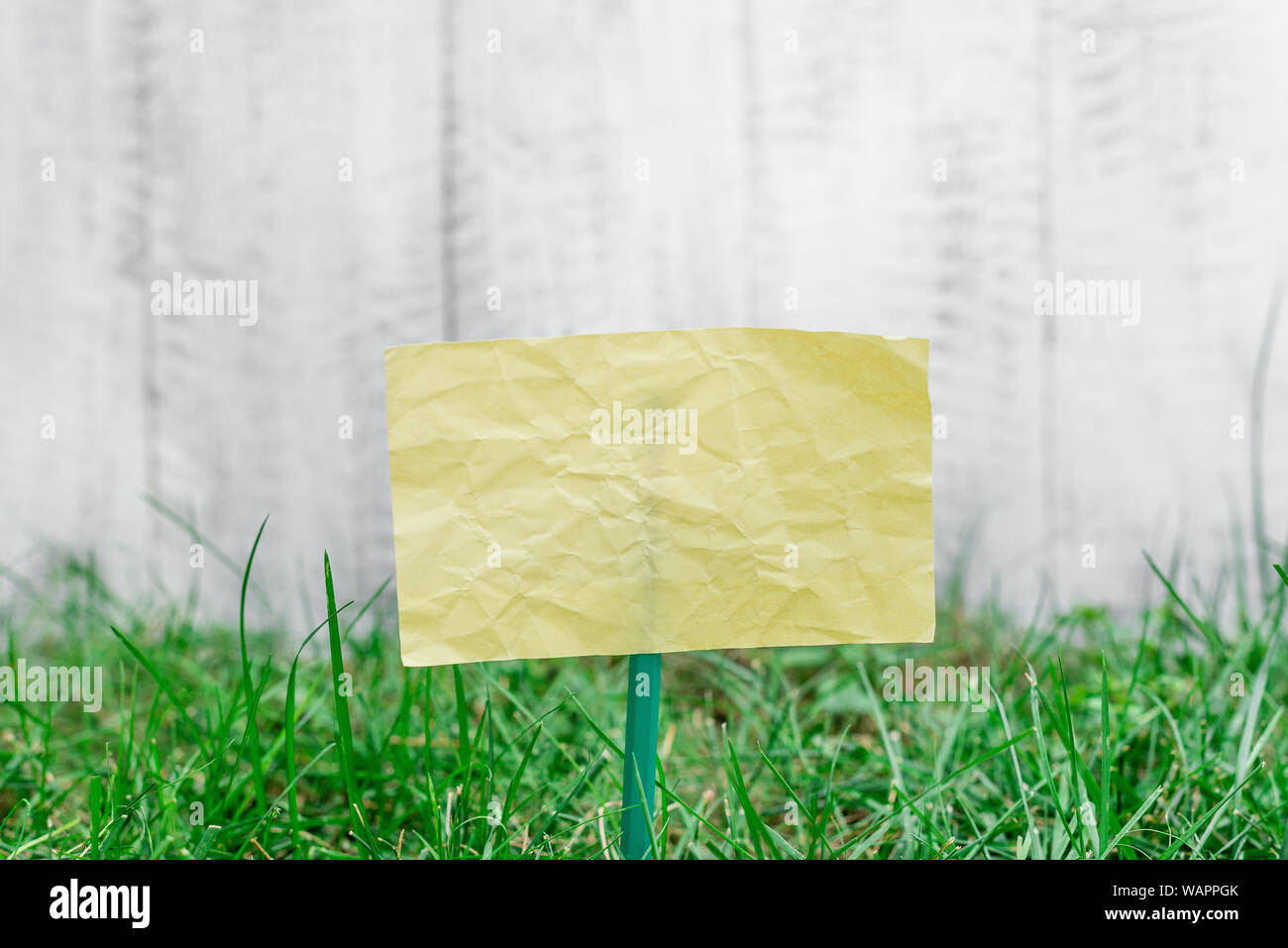 Plain empty paper attached to a stick and placed in the green grassy ...