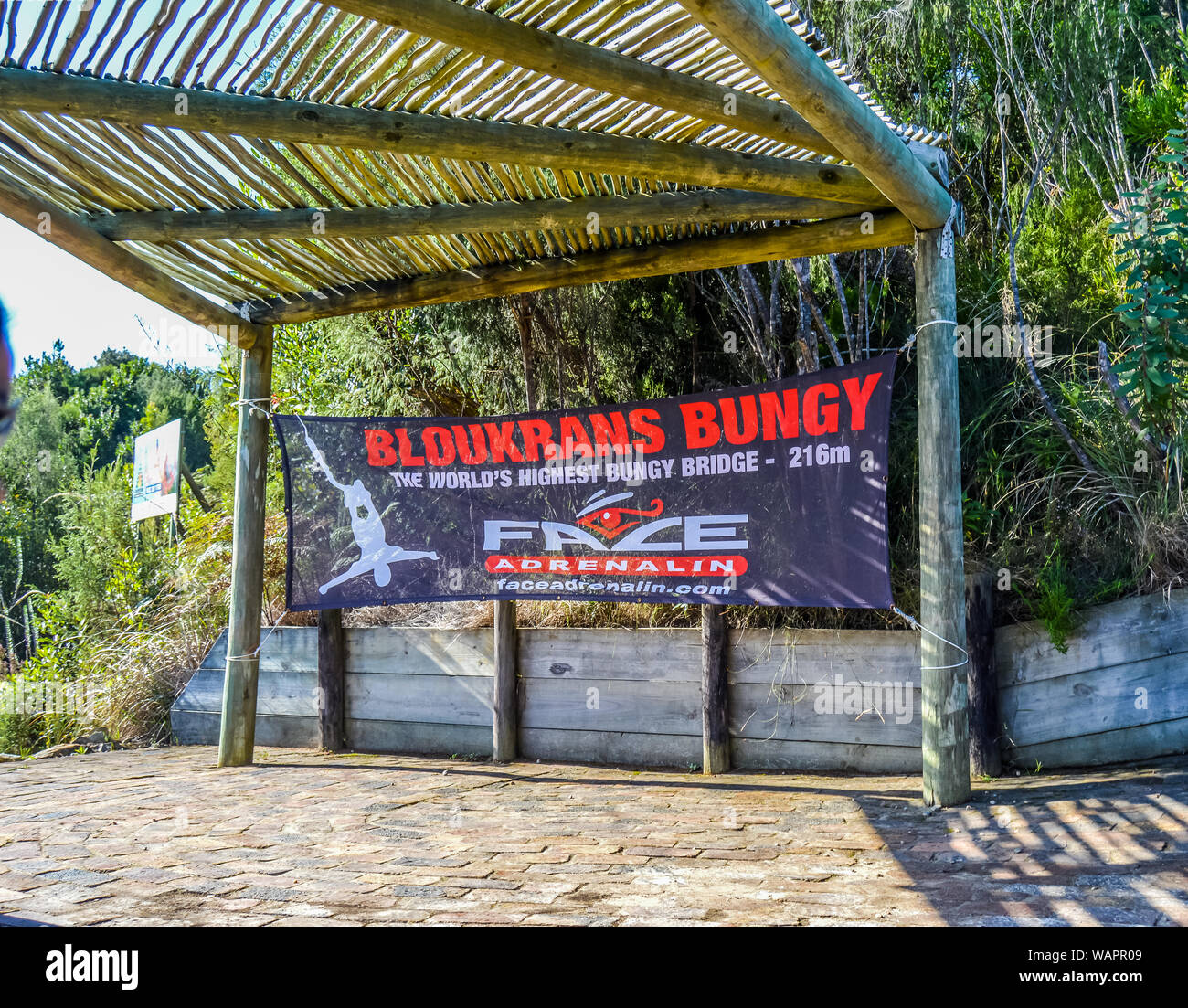 Bunji Jumping High Resolution Stock Photography and Images - Alamy