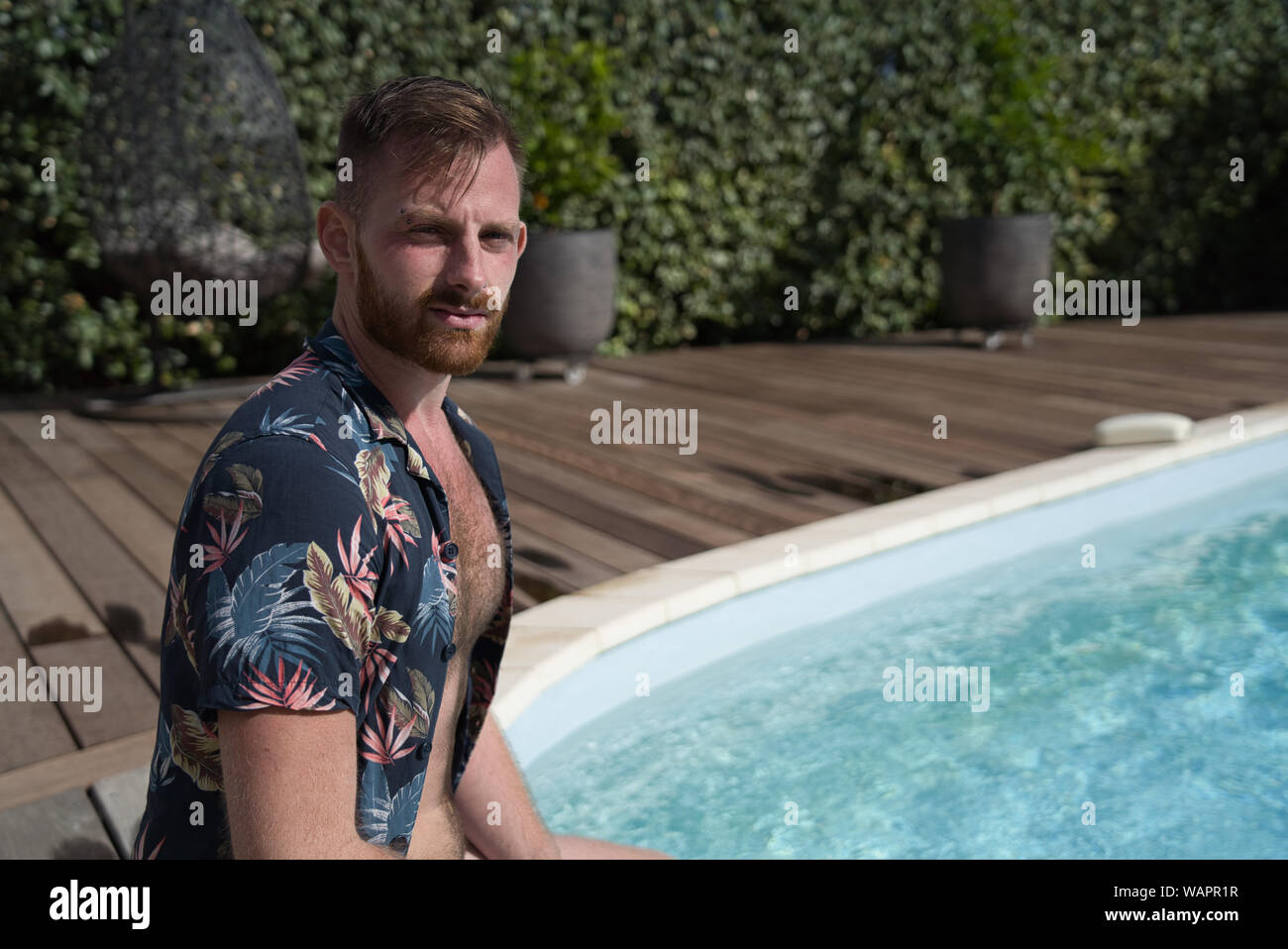 Caucasian young cheerful man beard hi-res stock photography and images ...