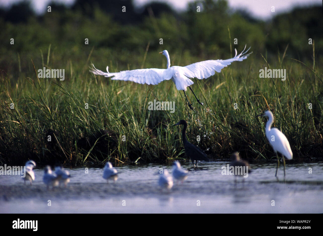 Egert hi-res stock photography and images - Alamy