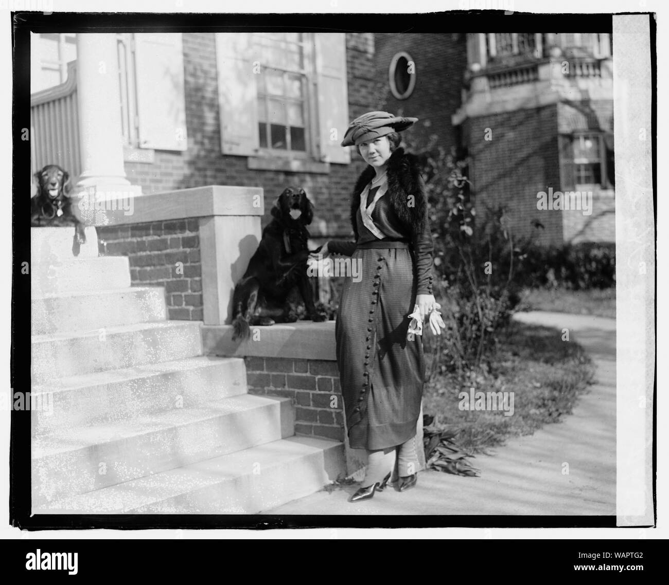 Hyle hi-res stock photography and images - Alamy