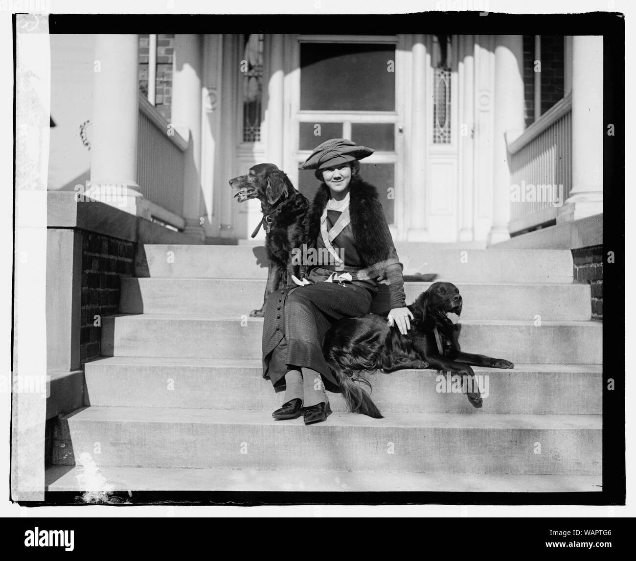 Hyle hi-res stock photography and images - Alamy