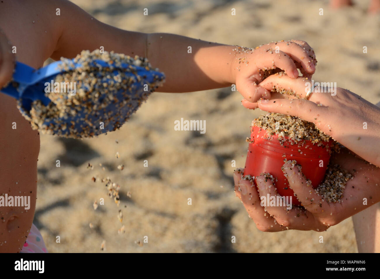 Female sea container hi-res stock photography and images - Alamy