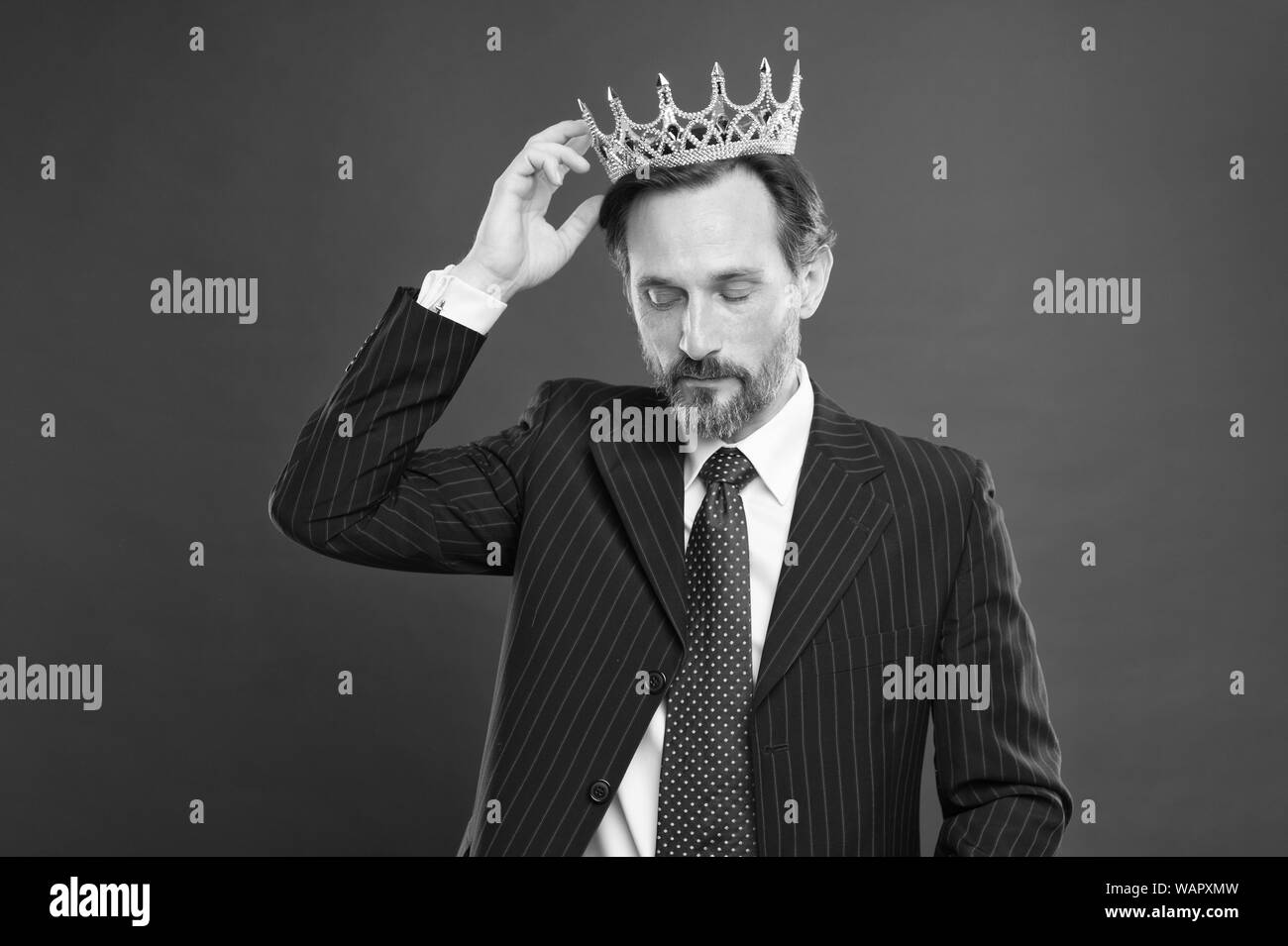 Living life like big boss. Big boss wearing jewelry crown on red ...