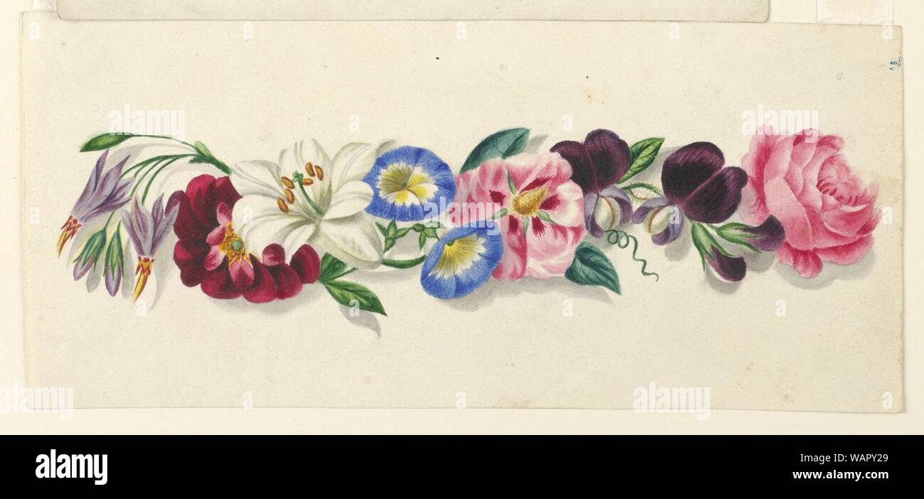 Drawing, Arrangement of morning glories, moss roses, lilies, and other ...