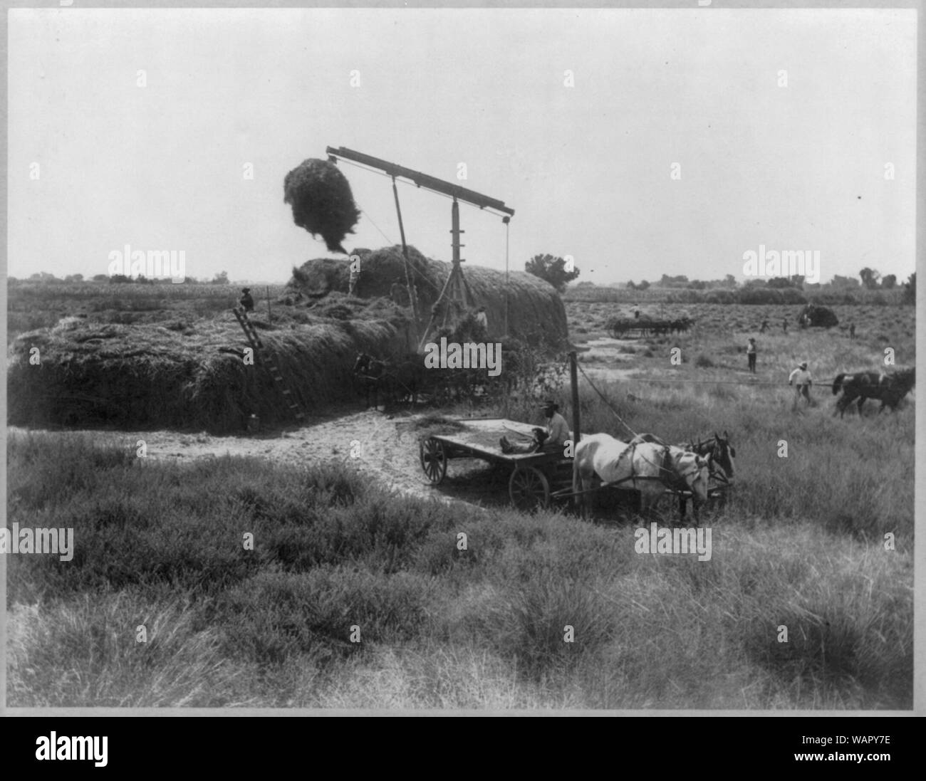 Hay derrick hi-res stock photography and images - Alamy