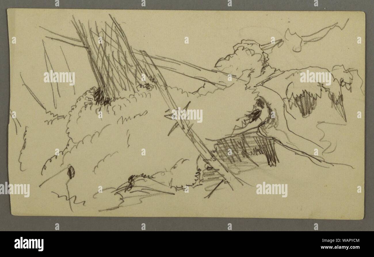 Drawing, Base of tree, boulder, possibly 1877 Stock Photo - Alamy