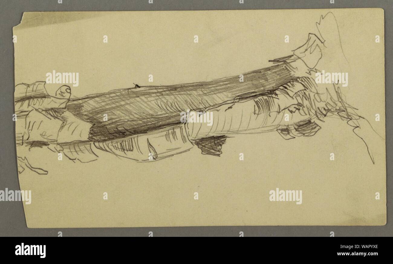 Drawing, Bottom Section of a Dead Tree Trunk, 1877 Stock Photo - Alamy