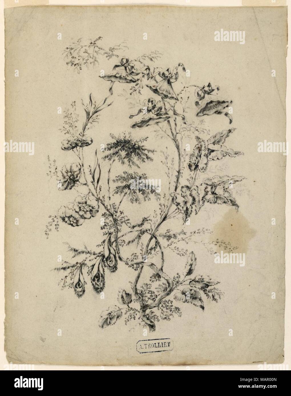 Drawing, Bough of a fantastic tree, 1775–1800 Stock Photo - Alamy