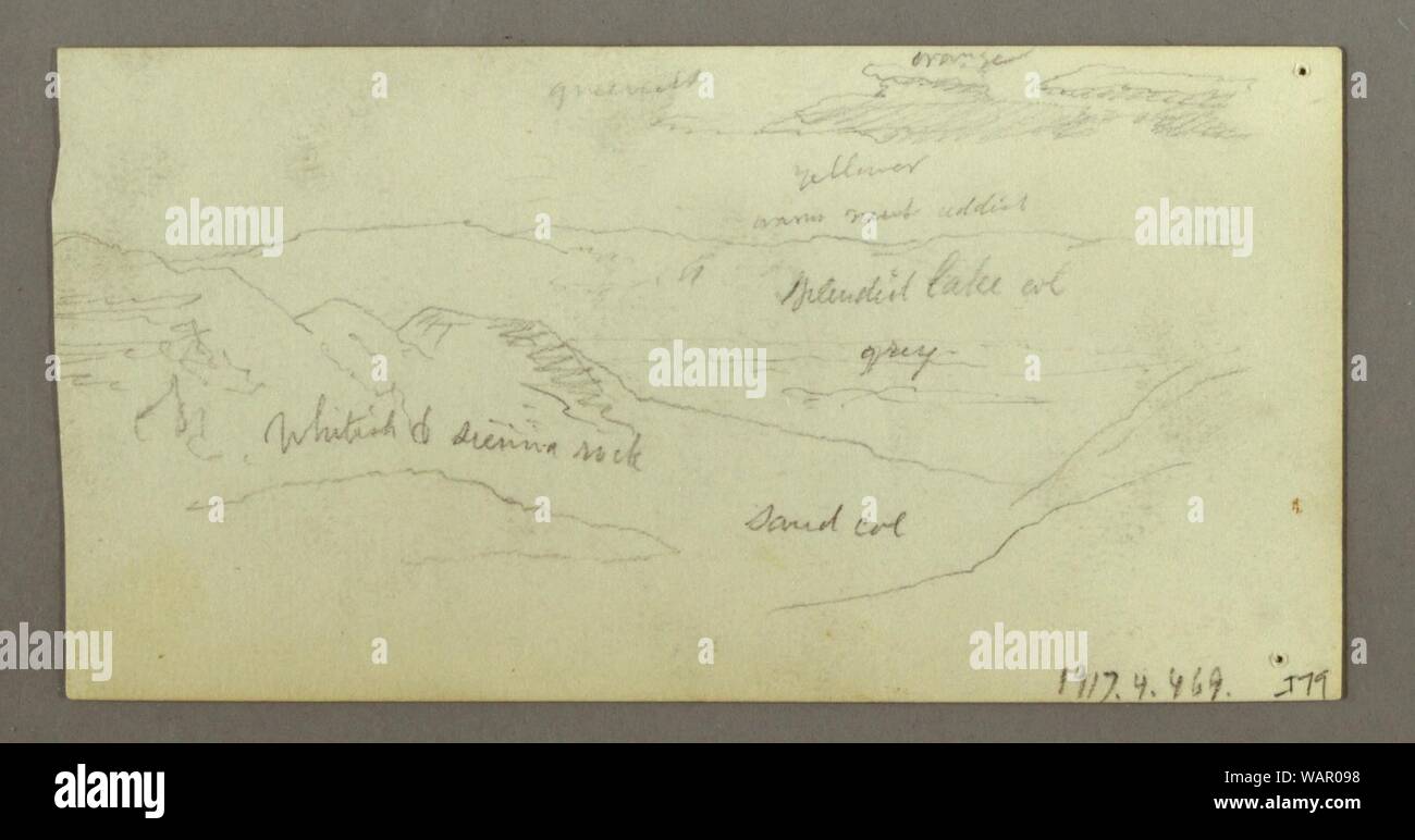 Camel studies hi-res stock photography and images - Alamy