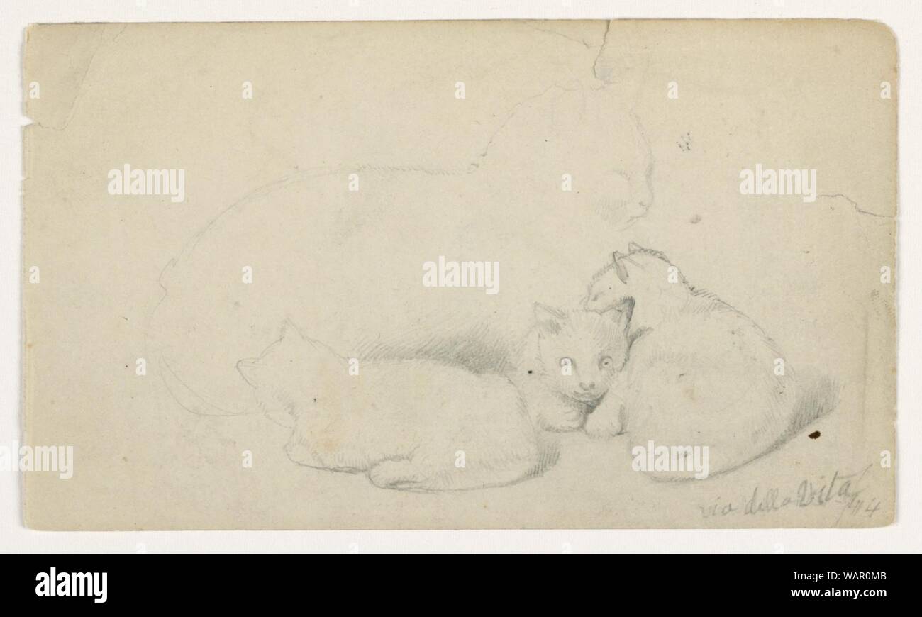 Drawing cat hi-res stock photography and images - Alamy