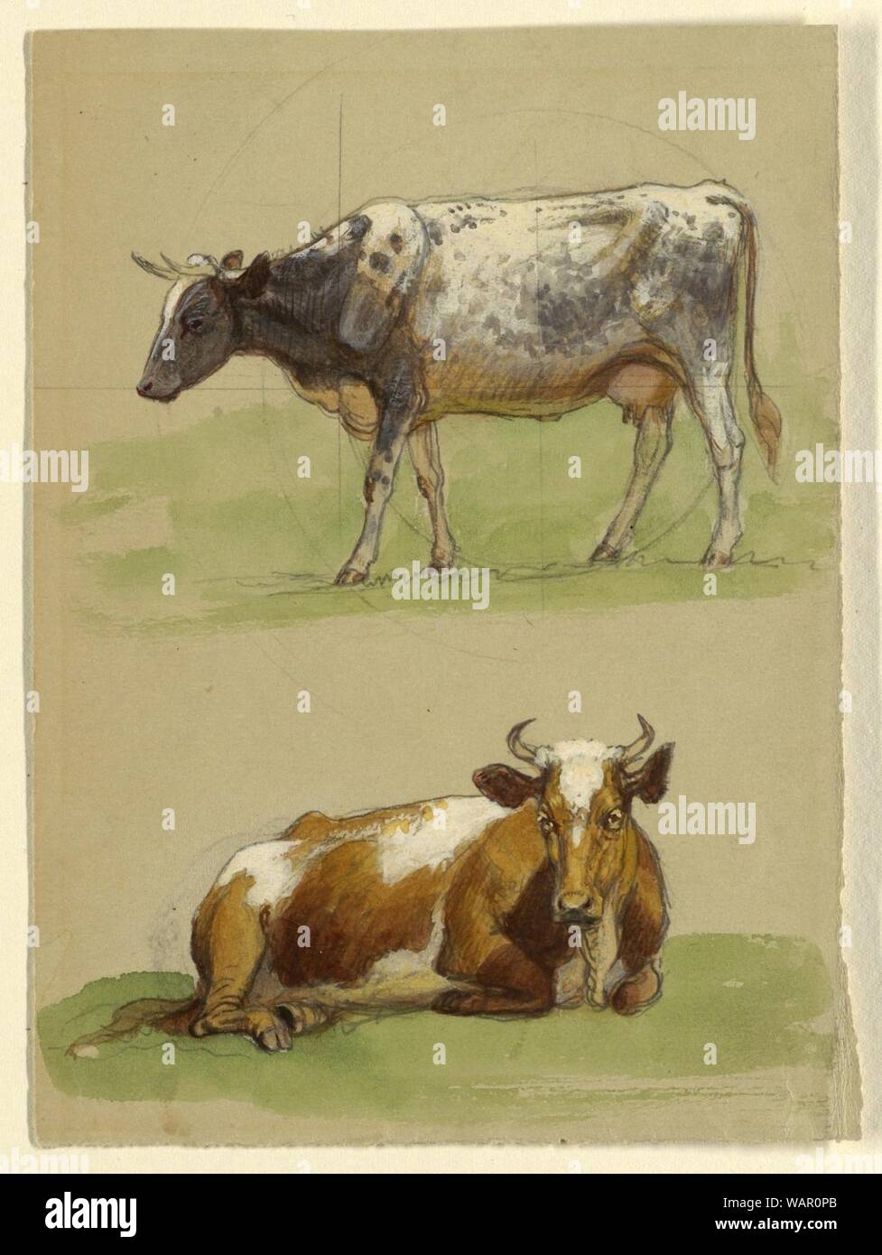 Drawing, Cattle, a Cow Walking and a Cow Crouching, 1875–80 Stock Photo ...