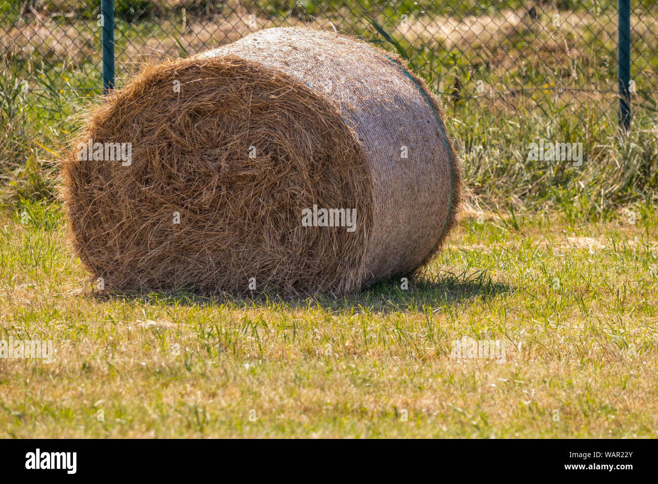 Yellow circle with grass hi-res stock photography and images - Alamy
