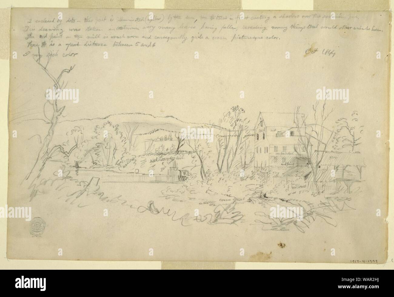 Drawing, Cows and a Horse, Children, August 1844 Stock Photo - Alamy