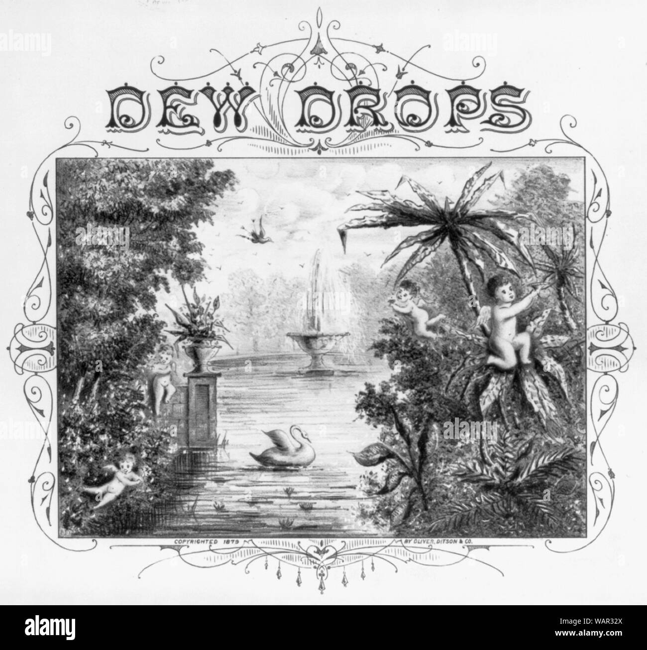 Close up leaves drops water Black and White Stock Photos & Images - Alamy