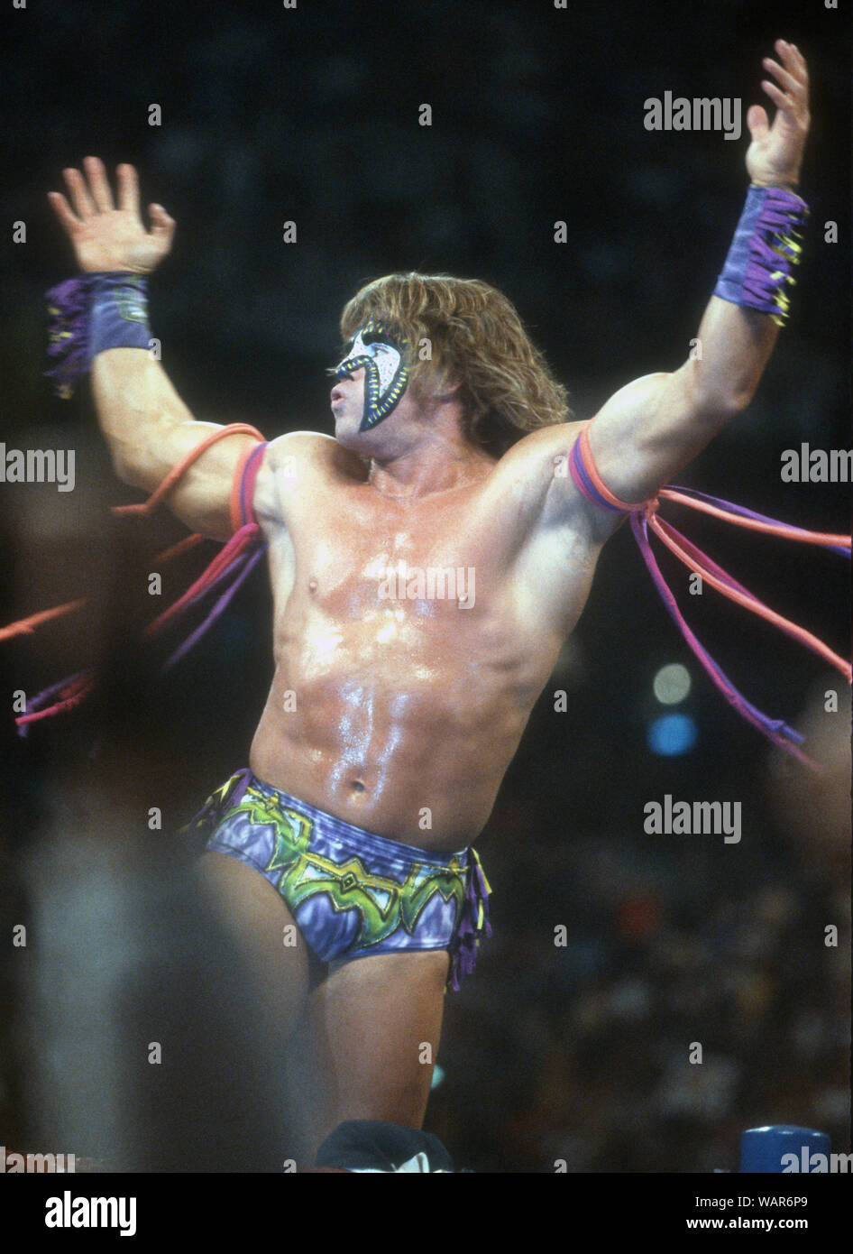Ultimate Warrior, James Brian Hellwig,1995, Photo By John Barrett ...