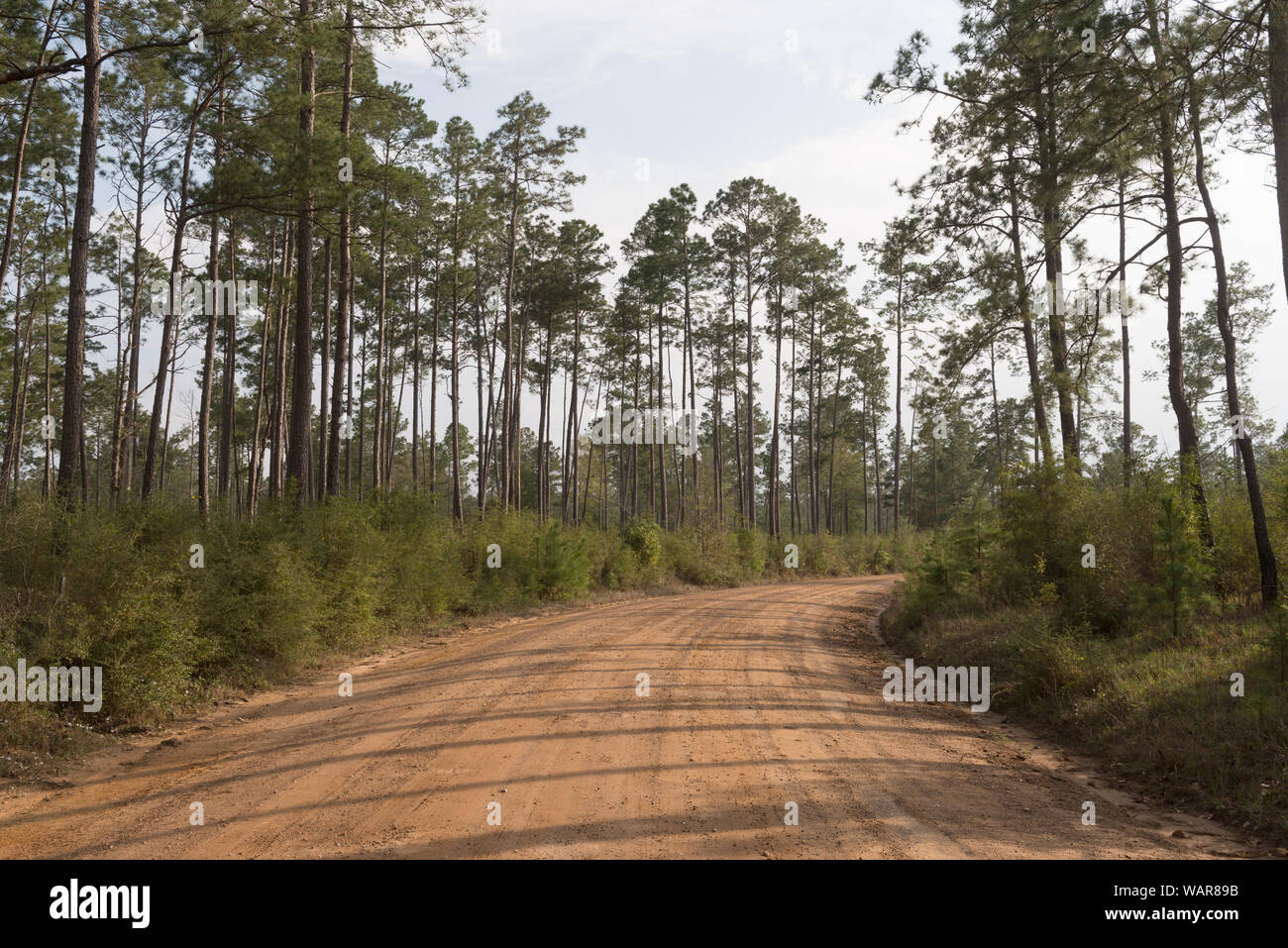 Dirt corner hi-res stock photography and images - Alamy