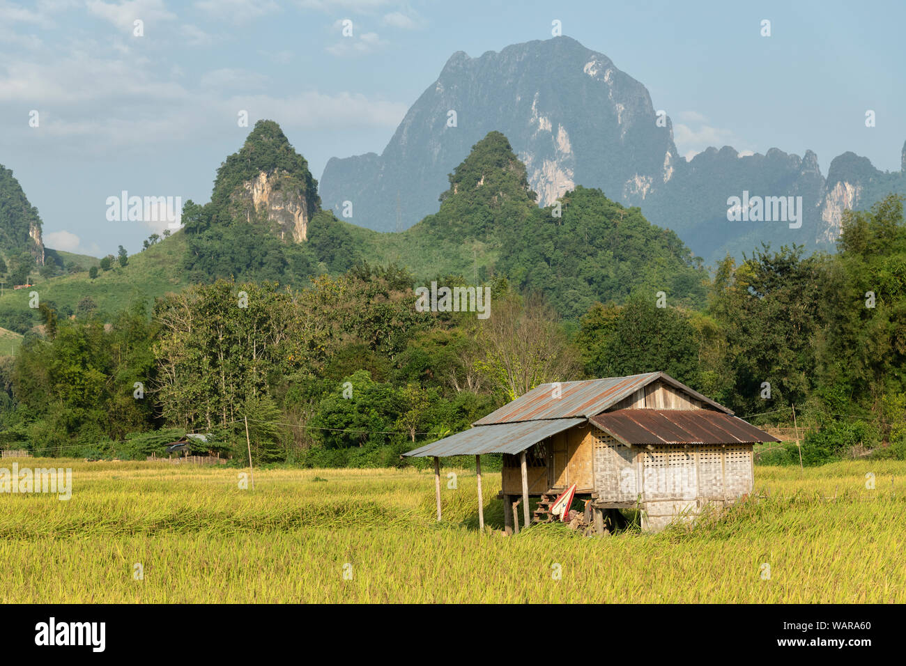 Asia,Southeast Asia, Laos, countryside Stock Photo - Alamy