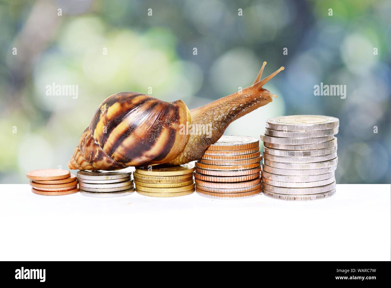 Snail climbing the pile of coins with natural Bokeh background, Victory ...