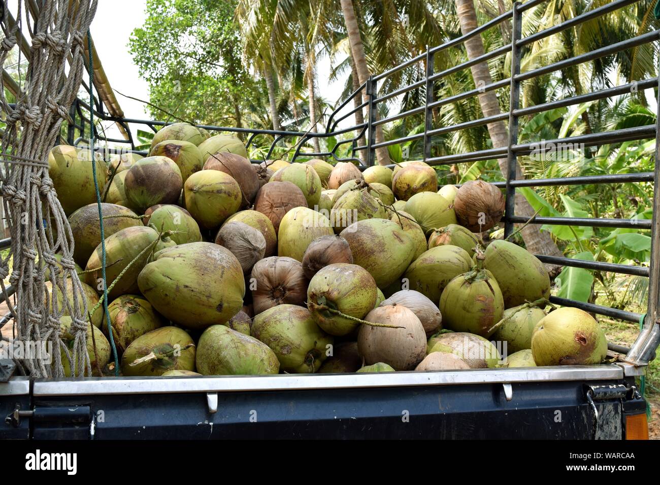 Fruit and vegetable truck hi-res stock photography and images - Alamy