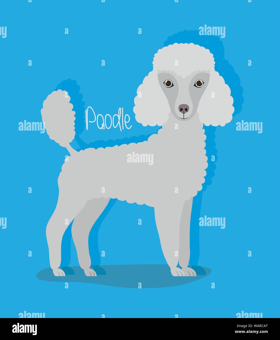 cute poodle dog pet character Stock Vector Image & Art - Alamy