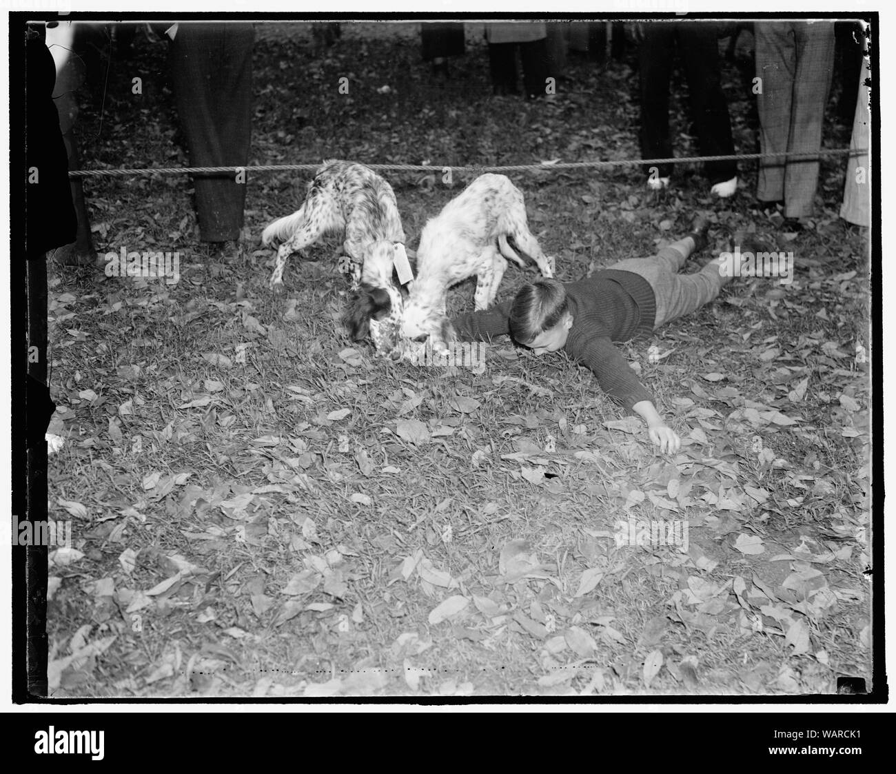 Mart Cut Out Stock Images & Pictures - Alamy