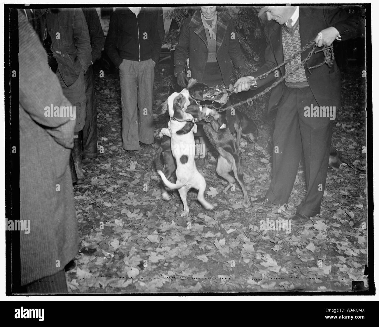 Mart Cut Out Stock Images & Pictures - Alamy