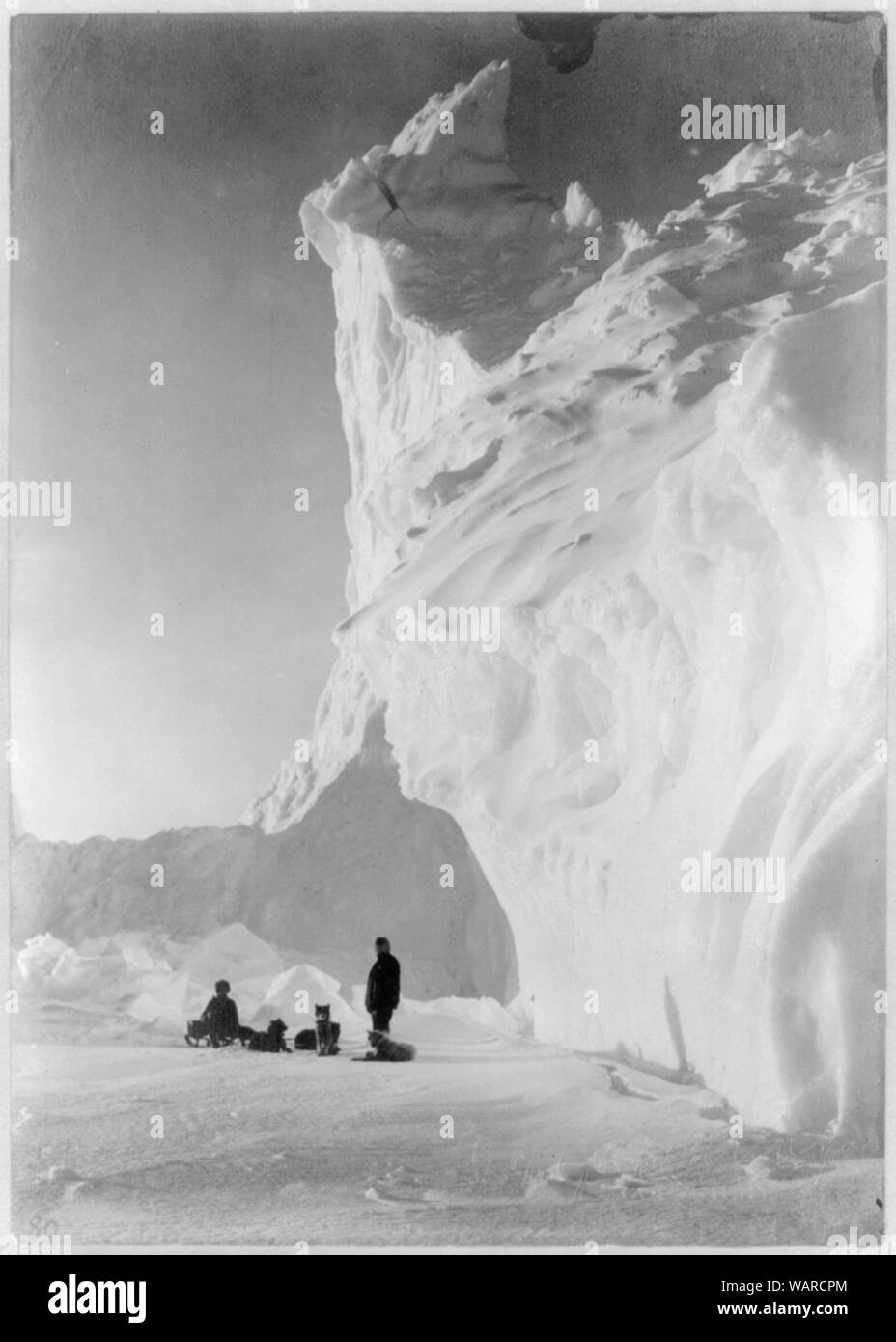 Dog team resting by an iceberg Stock Photo - Alamy