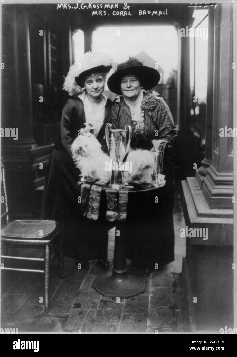 Dogs - Prize winners and Mrs. J.G. Kossman and Mrs. Coral Bauman Stock ...