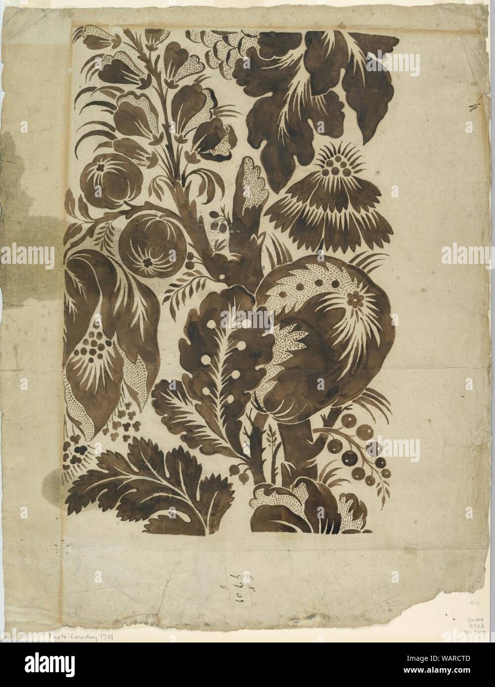 Drawing, Design for Woven Fabric, 1749–51 Stock Photo - Alamy