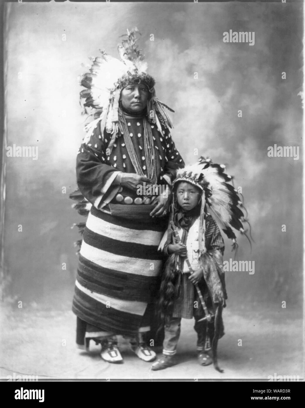 Dolly bird hi-res stock photography and images - Alamy