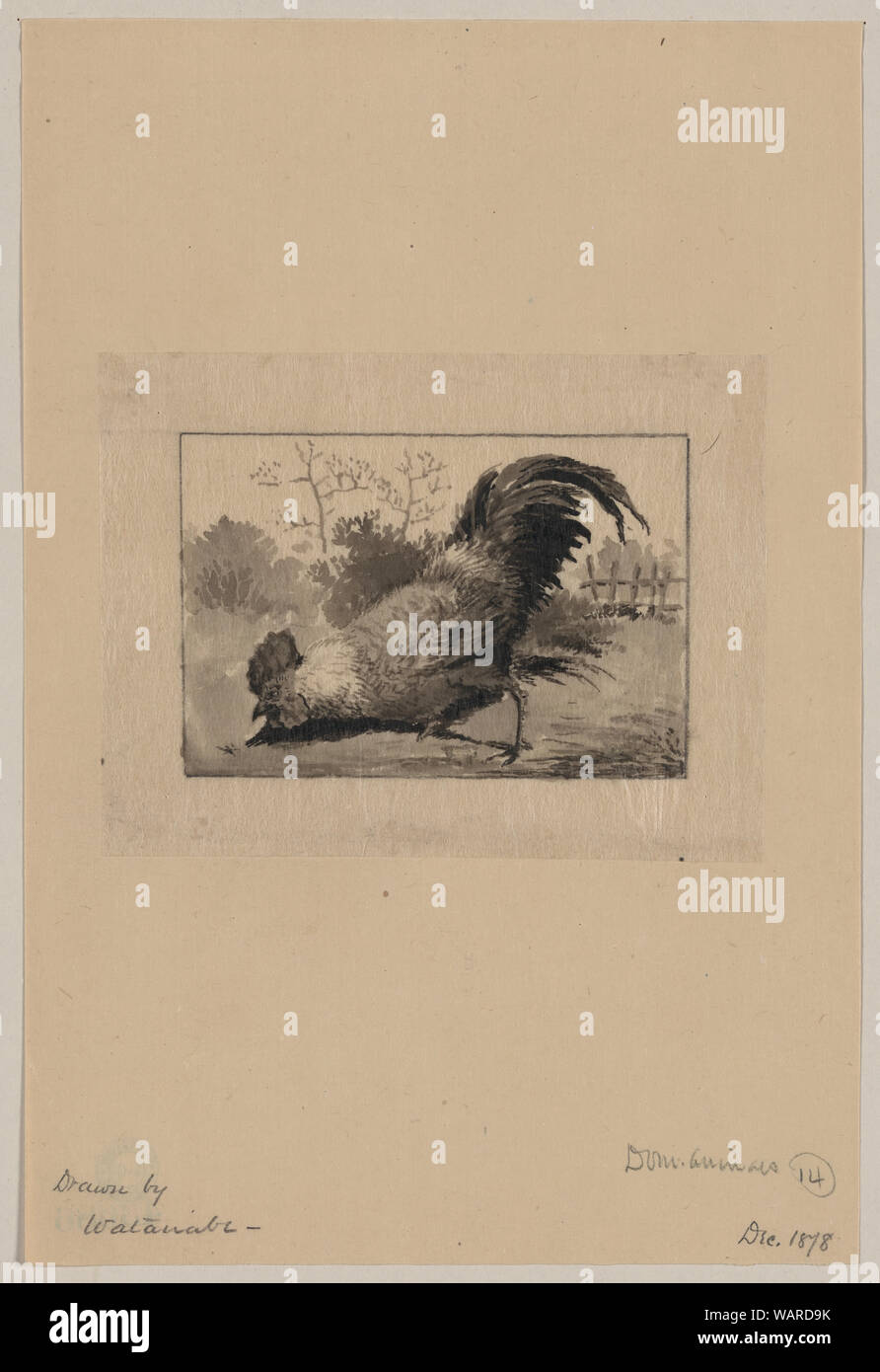 Dom. animals / drawn by Watanabe Stock Photo - Alamy