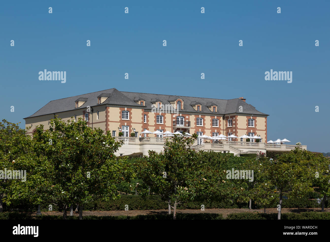 Domaine Carneros Vineyard, Napa, California Stock Photo - Alamy