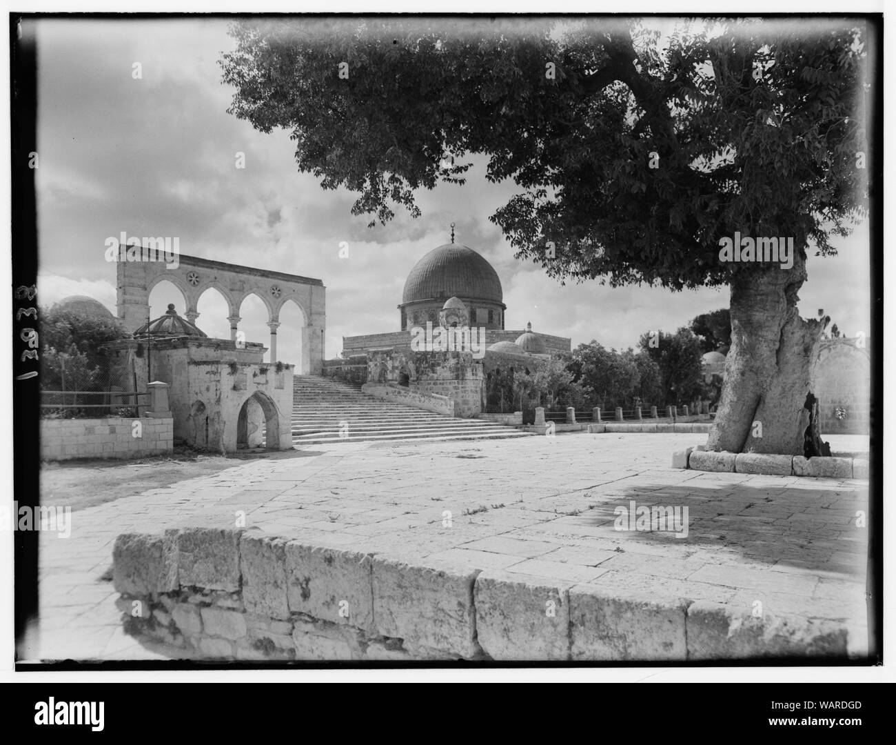 Dome of the Rock. Exteriors, closer up with tree, general view Stock ...