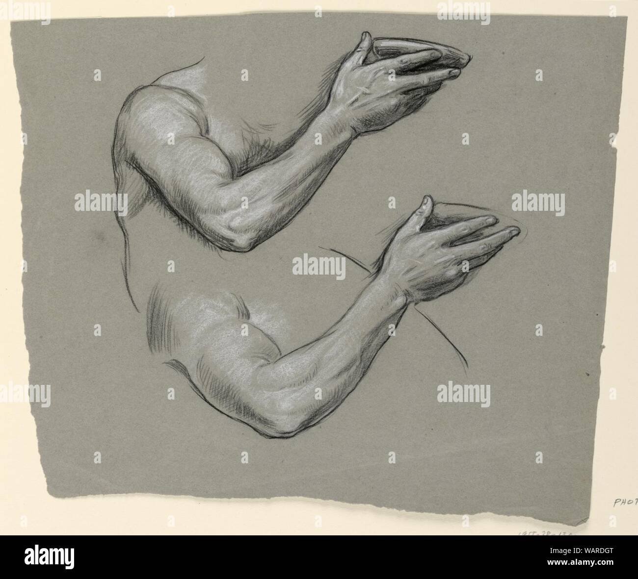 Drawing, Details of two male arms, ca. 1885 Stock Photo - Alamy