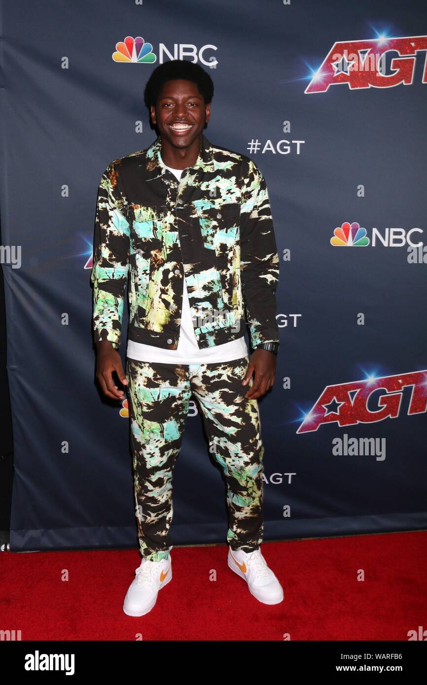 Los Angeles, CA. 20th Aug, 2019. Joseph Allen at arrivals for AMERICA'S ...