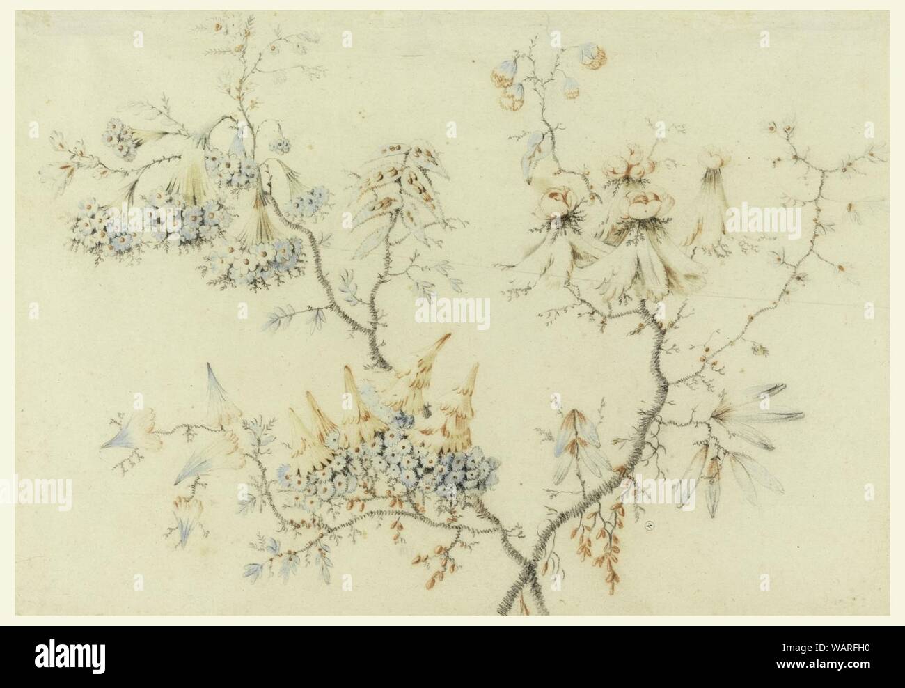 Drawing, Flowering Branches, 1775–1800 Stock Photo - Alamy