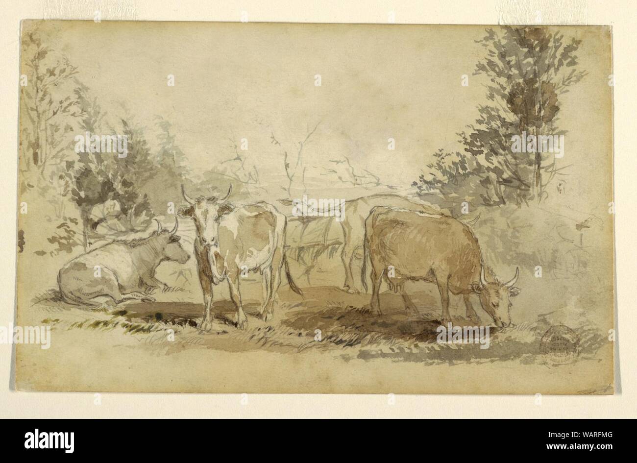 Archival cows grazing hi-res stock photography and images - Alamy