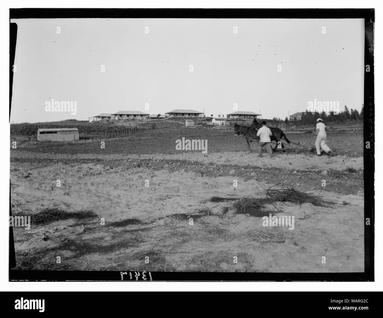 Dorot Cut Out Stock Images & Pictures - Alamy