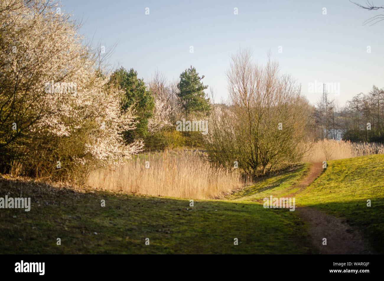 English Country Park At Springtime Stock Photo - Alamy