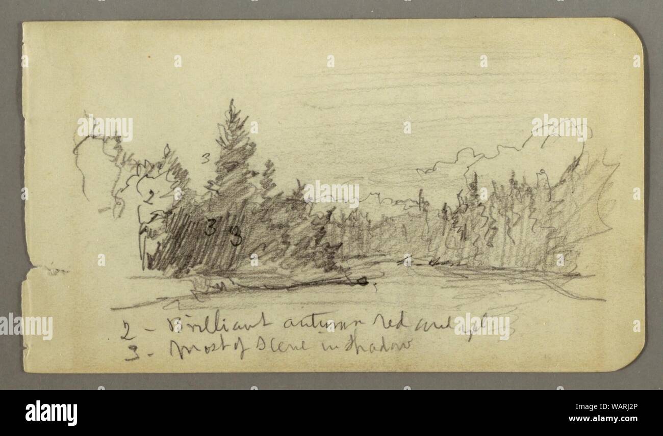 Drawing, Lake surrounded by trees, possibly 1878 Stock Photo - Alamy