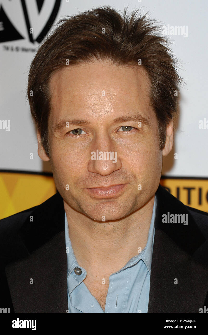 David Duchovny at The 10th Annual Critics' Choice Awards held at The ...