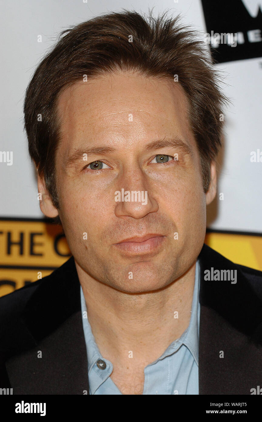David Duchovny at The 10th Annual Critics' Choice Awards held at The ...